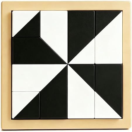 Amazon.com: Hiding Blocks Brain Teaser Game for Kids & Adults, 365 ...