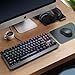 onn. RGB Mechanical Gaming Keyboard 87 Keys, Compact TENKEYLESS (TKL ...
