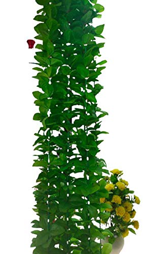 Buy Artificial Green paan pata Leaves 6 feet (Green, 5) Online at Low ...