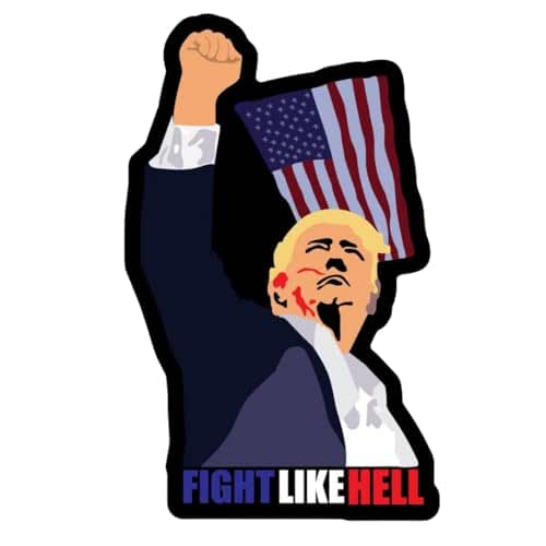 Amazon.com: Fight Like Hell Sticker | Car decal | Wall decal | Never ...