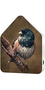 Amazon.com: RELAXOUND Original Oceanbox Oak - Modern Nature Sounds Box ...