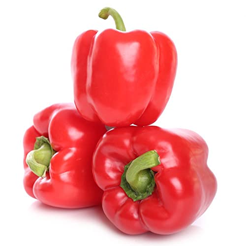 Pimento Morrone Continente - FICA