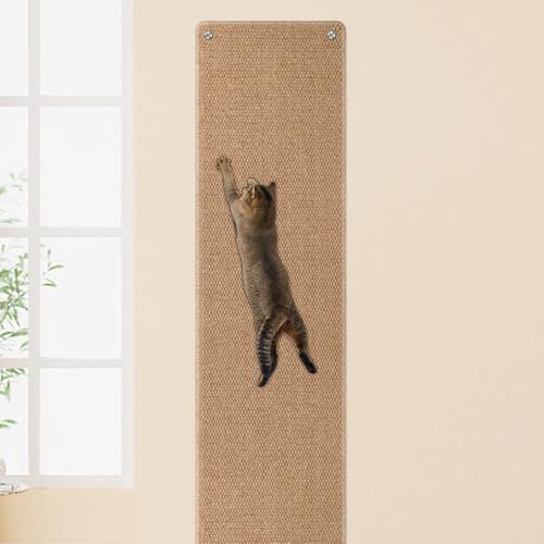 Cat Climbing Wall – The 15 best products compared - Wild Explained