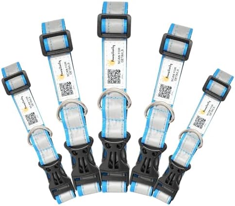 Buy Pawsitivity Smart Reflective QR Code Dog Collars for Strays ...