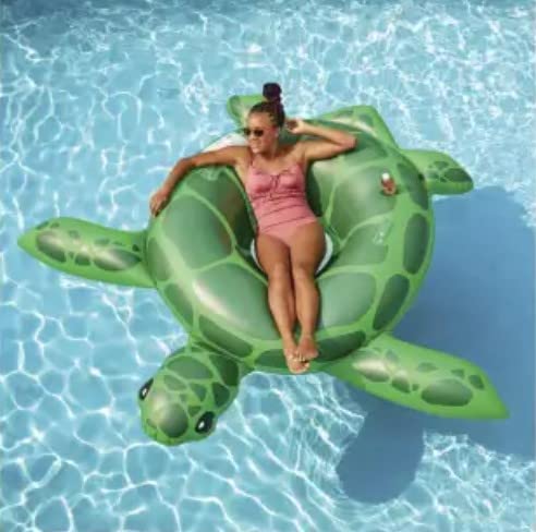 Find The Best Swimways Turtle For Pool Reviews & Comparison - Katynel