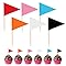 Amazon.com | 120pcs Mini Toothpick Flags, Double Sided Colored Mini ...