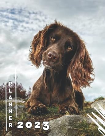 English Cocker Spaniel 2023 calendar: Cocker Spaniel Monthly Weekly ...