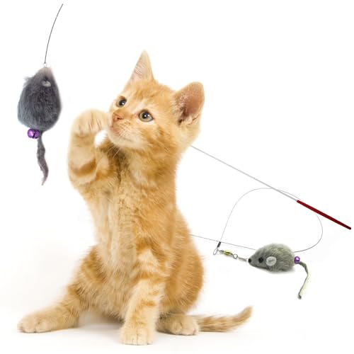 10 Best Mouse Wand Cat Toys: A Comprehensive Buying Guide for Every ...