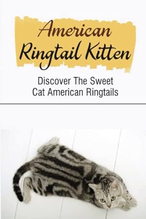 American Ringtail Kitten: Discover The Sweet Cat American Ringtails: Rinella, Fermin ...