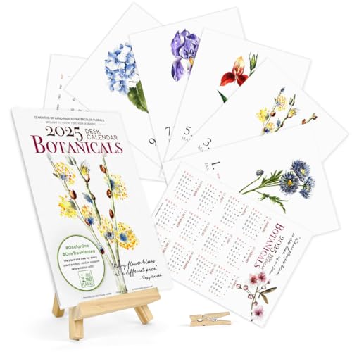 Amazon Best Sellers: Best Desk Calendars