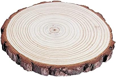 T one Woods Sanded Wooden Log Crafted Slices Disc Platter (8 inch ...