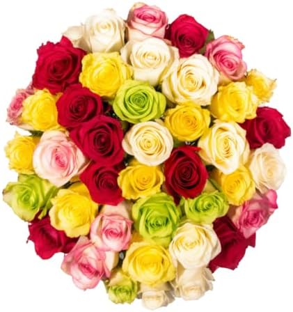 Amazon.com : GlobalRose Fresh Cut Red Roses - 100 (4 Bundles of 25 ...