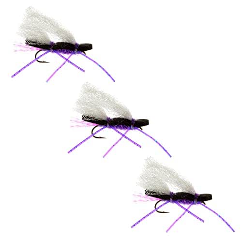 Amazon.com: Chubby Chernobyl Dry Fly by Colorado Fly Supply - Black and ...