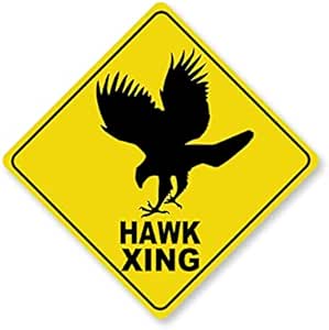 Amazon.com: Hawk Crossing Sign Xing Red Tailed Accipiter Gift Quality ...