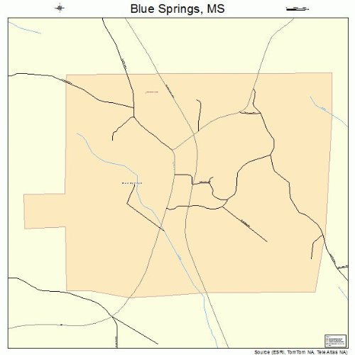 Large Street & Road Map of Blue Springs, Mississippi MS - Printed ...