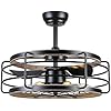 Amazon.com: Dannilong Large Caged Ceiling Fans with Lights, 23.6 Inch ...