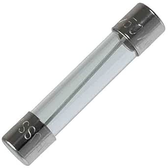 AGC 5A 250V Fast Quick Blow (Fast Acting) Glass Fuses, 6x30mm (1/4 inch ...