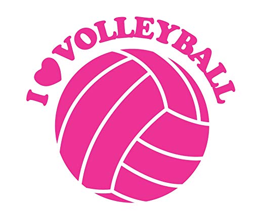 Pink Volleyball Ball Clip Art