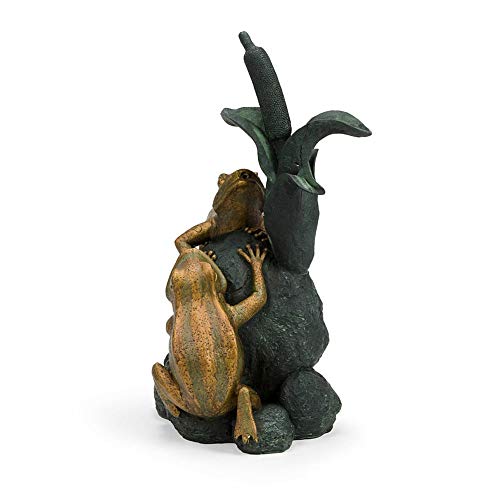 The 29 Best Pond Water Spitters of 2025 [Verified] - Cherry Picks