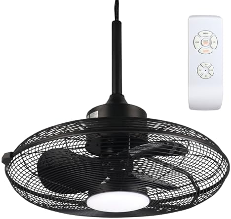 Amazon.com: LEDIARY 20" Outdoor Ceiling Fans with Lights and Remote ...