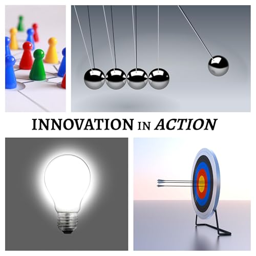 Innovation in Action : Sanja Monteiro and Peter Merrill: Amazon.in ...