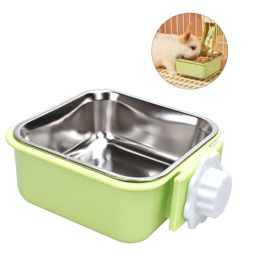 Comederos para conejos. Escoger el mejor modelo para tu mascota | Mundo ...