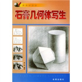 Amazon.com: Plaster Geometry Sketch (Chinese Edition): 9787508214559 ...