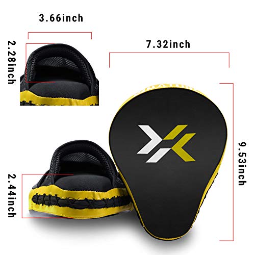 Snapklik.com : Essential Curved Boxing MMA Punching Mitts Boxing Pads w ...