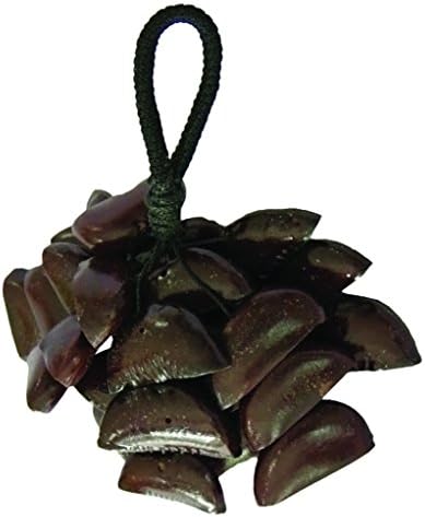 Amazon.com: Meinl Sonic Energy Seed Shell Shaker Percussion Instrument ...