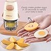 Amazon.com: FANSIDI 2024 Baby Food Maker | Baby Food Processor - Multi ...