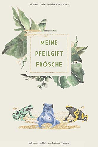 Der Frosch - Wissen rund um den Frösche Kauf | Terrarien Welten