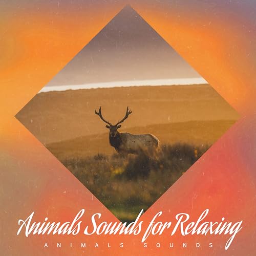 Animals Sounds for Relaxing by Animals Sounds on Amazon Music - Amazon ...