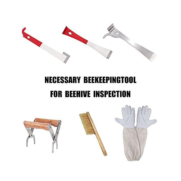 BeeCastle Beekeeping Supplies 22PCS Beekeeping Tools Kit, Bee Keeping ...