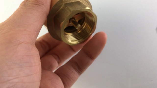 Watch In-Line Check Valve Brass, 3/4" Female One Way Check Valves on ...