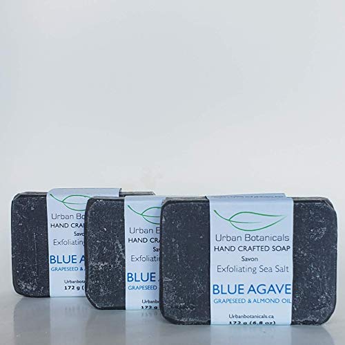 Amazon.com: 3 Pack - Hand Crafted Soap-Blue Agave Sea Salt Exfoliating ...