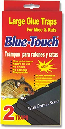 Amazon.com : Blue Touch Mouse Glue Traps, Excellent Mouse Glue Traps ...