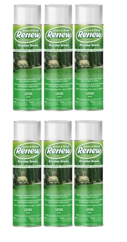 Best Renew Grass and Shrub Paint for a Lush Green Yard and Garden ...