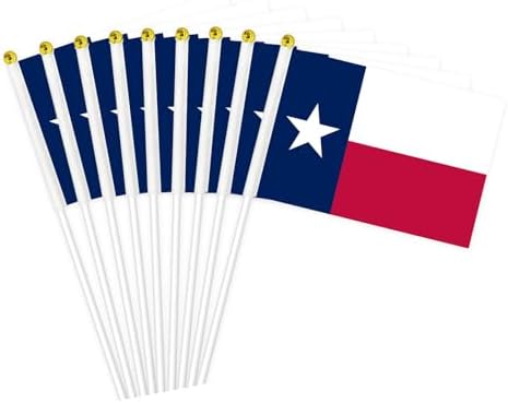 Amazon.com : Texas Flag, Small Mini Handheld Texas State Flags on ...