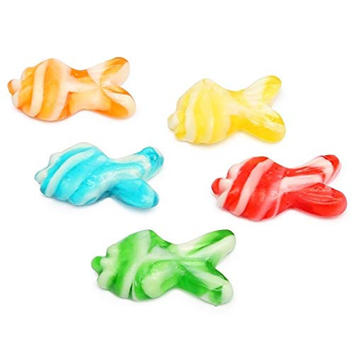 Amazon.com : Swirly Fish Gummy Assort colors) (2.200 Lbs) : Grocery ...