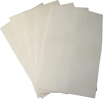 Scheppach Paper Filter for DC100 Extraction System | Set of 5 Paper ...