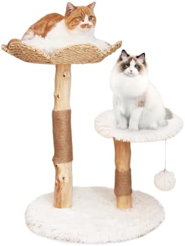 Amazon.com : HOMBYS Modern Cat Tree Tower for Small Cats, Wood Cat ...