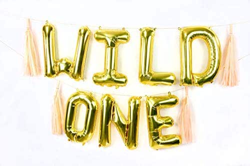 Amazon.com: 16" Gold Wild One Balloon Banner : Home & Kitchen
