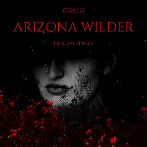 Play Arizona Wilder (Radio Edit) by Cisalo on Amazon Music Unlimited ...