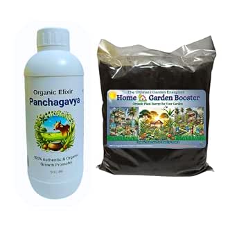 Plant Power Combo (Panchagavya + Home Garden Booster) Root to Fruit 100 ...