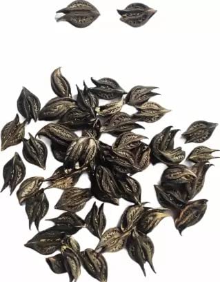 SHUBH SIDDHI Bat Head Roots 51 Pcs : Amazon.in: Garden & Outdoors