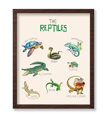 Amazon.com: Monem Art The Reptiles Poster - Learning Materials Print ...