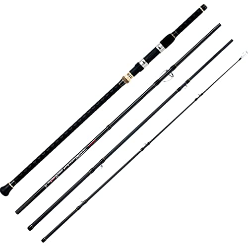 BERRYPRO Surf Spinning Fishing Rod Graphite Spinning Rod (9-Feet & 10 ...