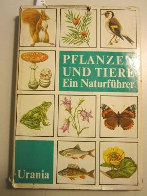 Pflanzen und Tiere - Ein Naturführer. : Christoph Needon, Johannes ...