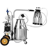 Amazon.com : VEVOR Electric Cow Milking Machine, 6.6 Gal / 25 L 304 ...