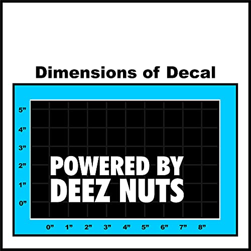 The 29 Best Sticker Connection Car Decals of 2025 [Verified] - Cherry Picks